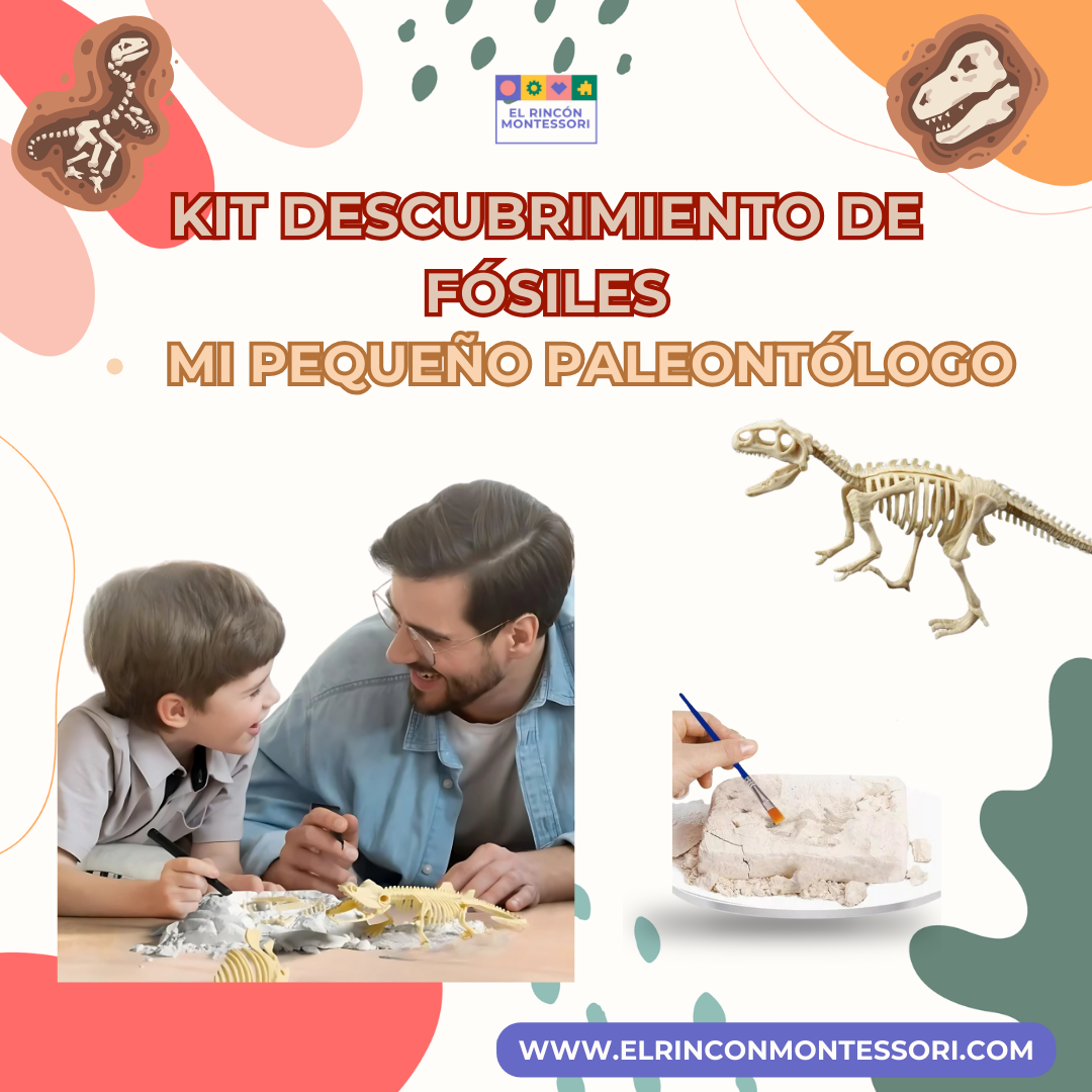 Kit de Descubrimiento de Fósiles - Mi pequeño paleontólogo – El Rincón ...